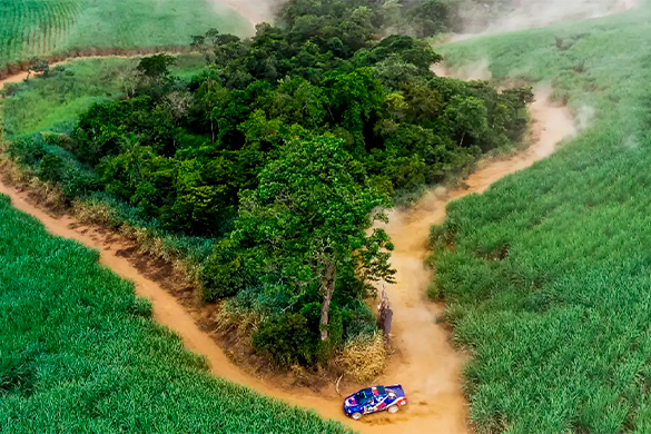 Mitsubishi Cup: o que é, como funciona e quem compete – Basico.com